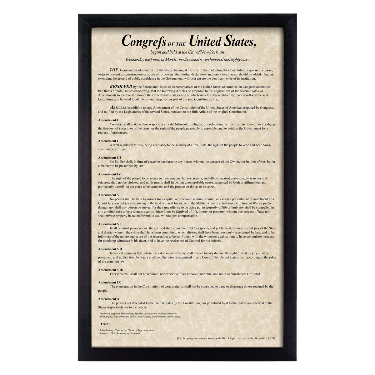 Framed Bill of Rights – American Designs